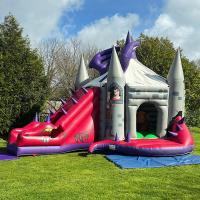 China Red Dinosaur Bouncy Castle with Slide How to Train Your Dragon Inflatable Bounce House for sale