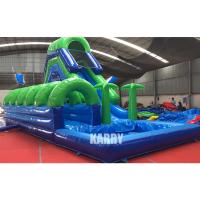 China Party Rentals Business Inflatable Palm Tree Water Slide with Swimming Pool Long Slide for sale