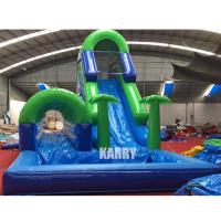 China Party Rentals Business Inflatable Palm Tree Water Slide with Swimming Pool Long Slide for sale