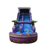 China Customized Colorful PVC Inflatable Water Slide With Swimming Pool For Summer Fun for sale