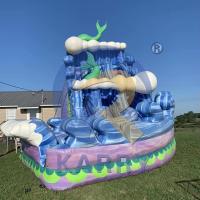 China Large Adults and Kids Size Inflatable Backyard Slides with Pool for sale
