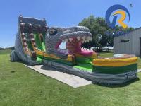 China Large Adults and Kids Size Inflatable Backyard Slides with Pool for sale