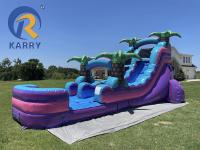 China Large Adults and Kids Size Inflatable Backyard Slides with Pool for sale