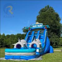 China Large Adults and Kids Size Inflatable Backyard Slides with Pool for sale
