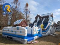 China PVC Tarpaulin Inflatable Water Slide for Adults and Kids Customized Logo/Pattern for sale