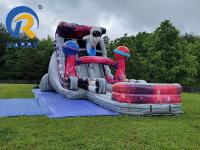 China PVC Tarpaulin Inflatable Water Slide for Adults and Kids Customized Logo/Pattern for sale