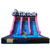China Delivery Way Sea/Air Commercial Party Rental Inflatable Pool Slides for Home/Business for sale
