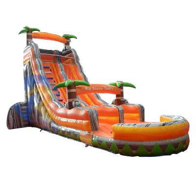 China Commercial Event Promotion Orange Palm Inflatable Water Slide with Pool and More for sale