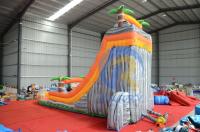 China Commercial Event Promotion Orange Palm Inflatable Water Slide with Pool and More for sale