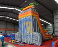 China Commercial Event Promotion Orange Palm Inflatable Water Slide with Pool and More for sale
