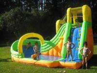 China Max Capacity 100-500kg PVC Inflatable Water Slide for Kids' Commercial Activities for sale