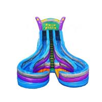 China Backyard Fun Large Inflatable Water Slide with Two Lane Wet Slip and 0.55mm Plato PVC for sale
