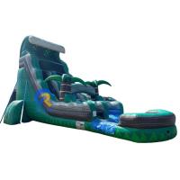 China 5-10 Passenger PVC Inflatable Water Slide CE Standards Blower Green Palm Tree with Pool for sale