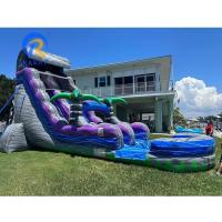 China Backyard Fun Max Capacity ＞500kg Purple Shark Palm Inflatable Water Slide with Pool for sale