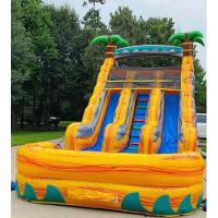 China Max Capacity 100-500kg Customized Size Inflatable Palm Tree Water Slide for Adults for sale