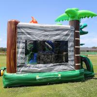 China Jurassic Dinosaurs Park Inflatable Joy Bounce House with Slide and PVC Detachable Pool for sale