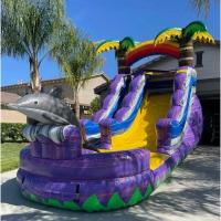 China Commercial Inflatable Water Slide with Pool OEM Accepted and Fire Resistant for sale