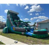China Commercial Inflatable Water Slide with Pool OEM Accepted and Fire Resistant for sale