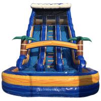 China Favorite EN71/EN14960/CE Certified Inflatable Palm Tree Water Slide with Double Slide for sale