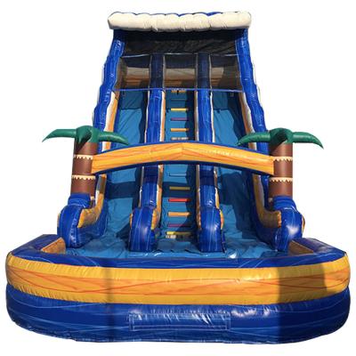 China Favorite EN71/EN14960/CE Certified Inflatable Palm Tree Water Slide with Double Slide for sale