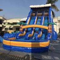 China Favorite EN71/EN14960/CE Certified Inflatable Palm Tree Water Slide with Double Slide for sale