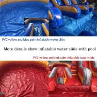China Favorite EN71/EN14960/CE Certified Inflatable Palm Tree Water Slide with Double Slide for sale