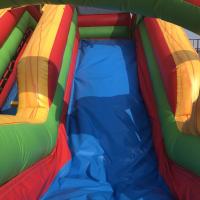 China Commercial Occasion Customized Size Inflatable Palm Tree Single Wide Slide with Pool for sale