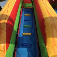 China Commercial Occasion Customized Size Inflatable Palm Tree Single Wide Slide with Pool for sale