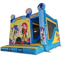 China Commercial Toddler Trampoline PVC Inflatable Castle with Dry Slide and Climbing Slide for sale