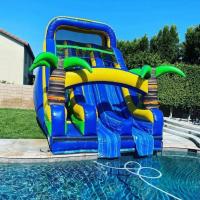 China Indoor Double-layer Reinforced PVC Palm Tree Inflatable Double Slide Water Slide with Pool for Kids and Adults for sale