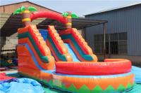 China Indoor Double-layer Reinforced PVC Palm Tree Inflatable Double Slide Water Slide with Pool for Kids and Adults for sale