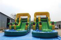 China Indoor Double-layer Reinforced PVC Palm Tree Inflatable Double Slide Water Slide with Pool for Kids and Adults for sale