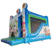 China Customized Color Commercial PVC Pirate Theme Inflatable Bouncy Castle with Dry Slide for sale