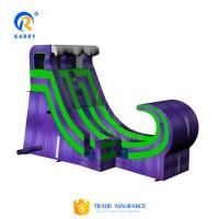 China Family Fun Guaranteed Backyard Inflatable Water Slide with Water Pool and Wide Slide for sale