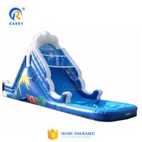 China Water Pool Castle Style Inflatable Bouncy Fancy Long Water Slide for Kids and Adults for sale