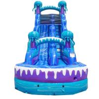 China Commercial Grade 36ft Inflatable Water Slide with Water Pool Ocean Jellyfish Pattern for sale