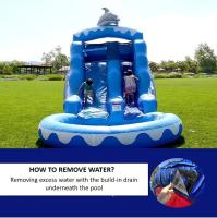 China Gray Little Whale Inflatable Water Slide with Blue Ocean Water Pool and Blower Included for sale