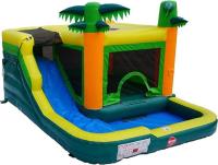 China Tropical PVC Inflatable Water Bounce House Pool Water Slide Max Capacity 100-500kg for sale