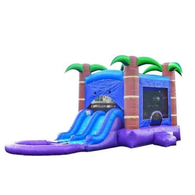 China PVC Inflatable Water Slide with Basketball Hoop for Kids and Adults Age Range 5-7 Years for sale