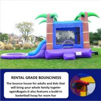 China PVC Inflatable Water Slide with Basketball Hoop for Kids and Adults Age Range 5-7 Years for sale