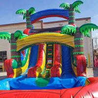China Portable Fun Guaranteed with Small Tropical Inflatable Waterslide Combo Bounce House for sale