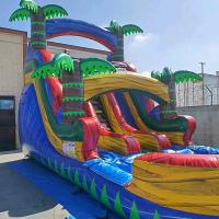 China Portable Fun Guaranteed with Small Tropical Inflatable Waterslide Combo Bounce House for sale