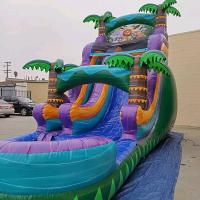 China Inflatable Rainforest Castle with Slide and Pool Slide Water Inflatable Castle Combo for sale