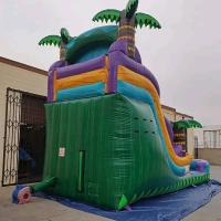 China Inflatable Rainforest Castle with Slide and Pool Slide Water Inflatable Castle Combo for sale