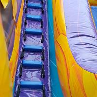 China Inflatable Rainforest Castle with Slide and Pool Slide Water Inflatable Castle Combo for sale