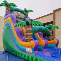 China Inflatable Rainforest Castle with Slide and Pool Slide Water Inflatable Castle Combo for sale