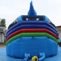 China Customized Color Popular Small Shark Inflatable Water Slide with Pool for sale