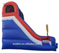 China Jumping Waterslide Inflatable for Party Small Commercial Dry Slide Combo Bouncy Castle for sale