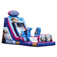 China Customized Color Popular Small Shark Inflatable Water Slide with Pool for sale