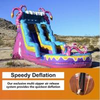 China Unisex 28ft Inflatable Water Slide with Pool and Blower Wet/Dry Bounce House Combo for sale